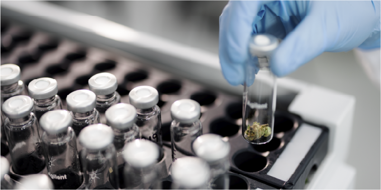 Residual Solvents | Pathogenia