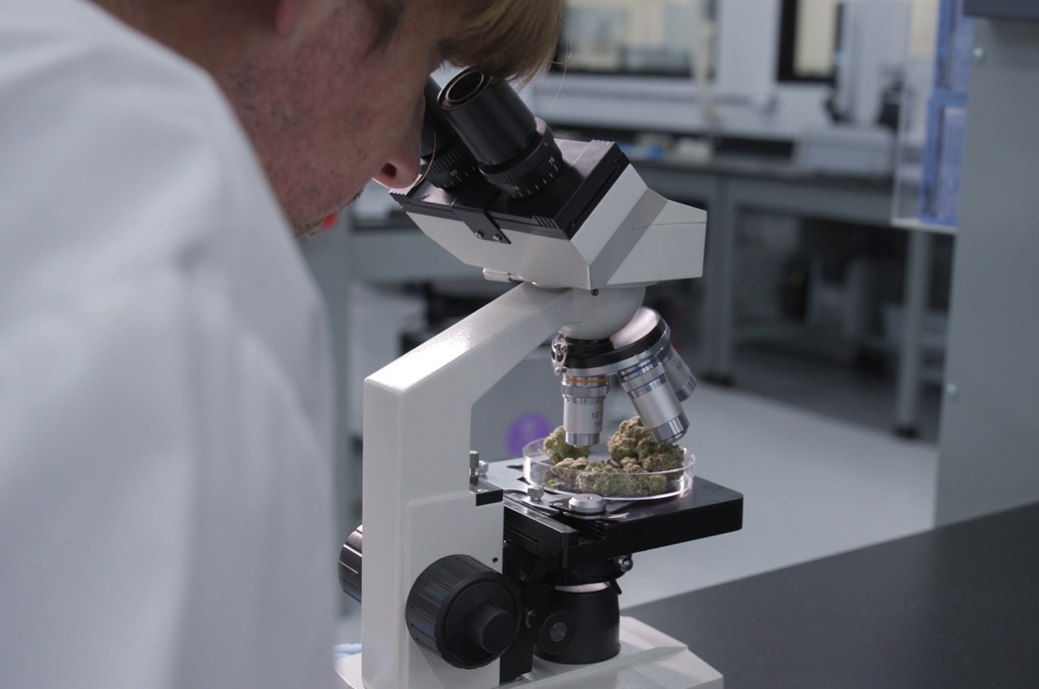 Stability Testing | Pathogenia