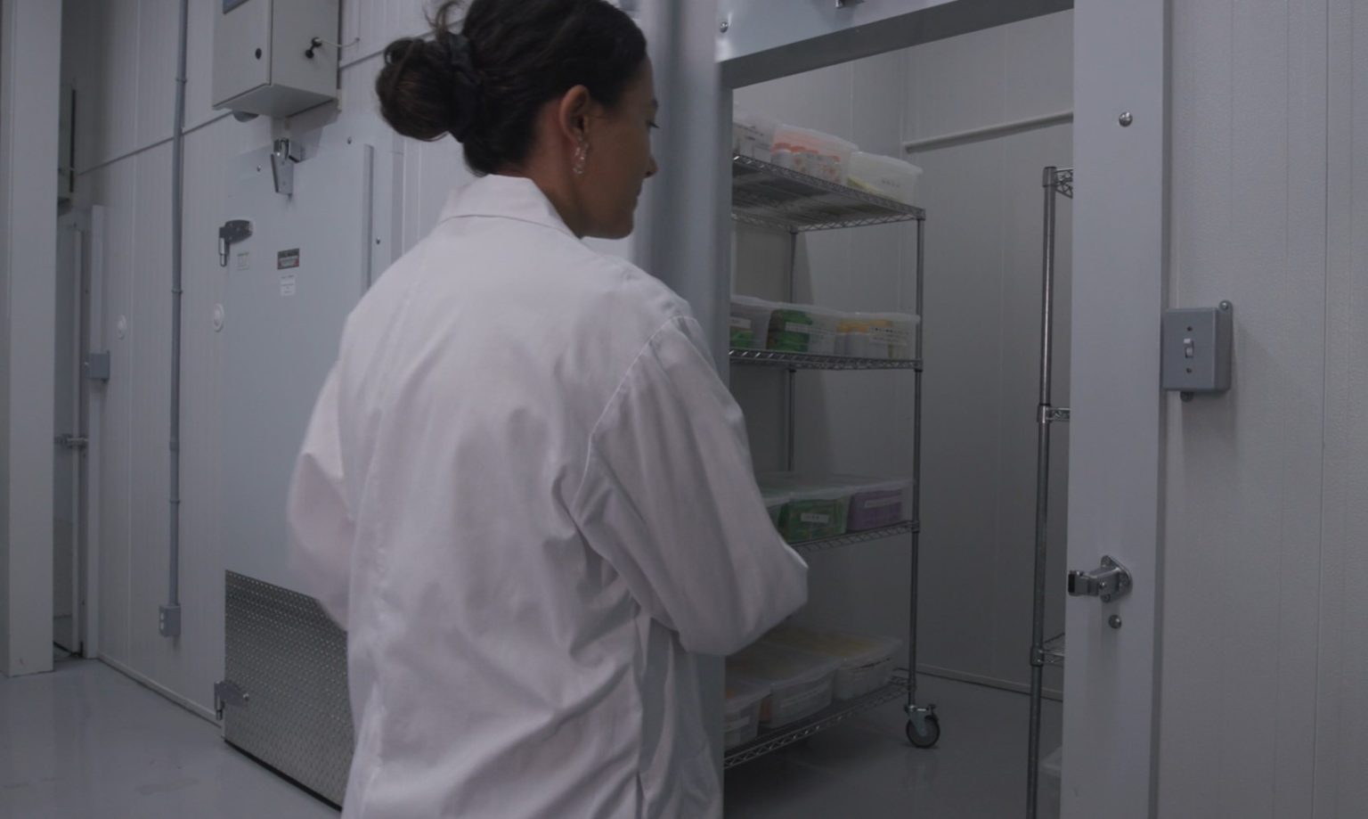 Stability Testing (Food Testing) | Pathogenia